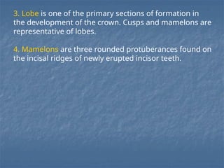 dental terminology and other terminology.pptx