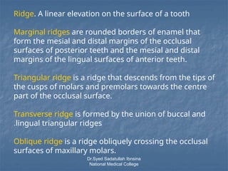 dental terminology and other terminology.pptx