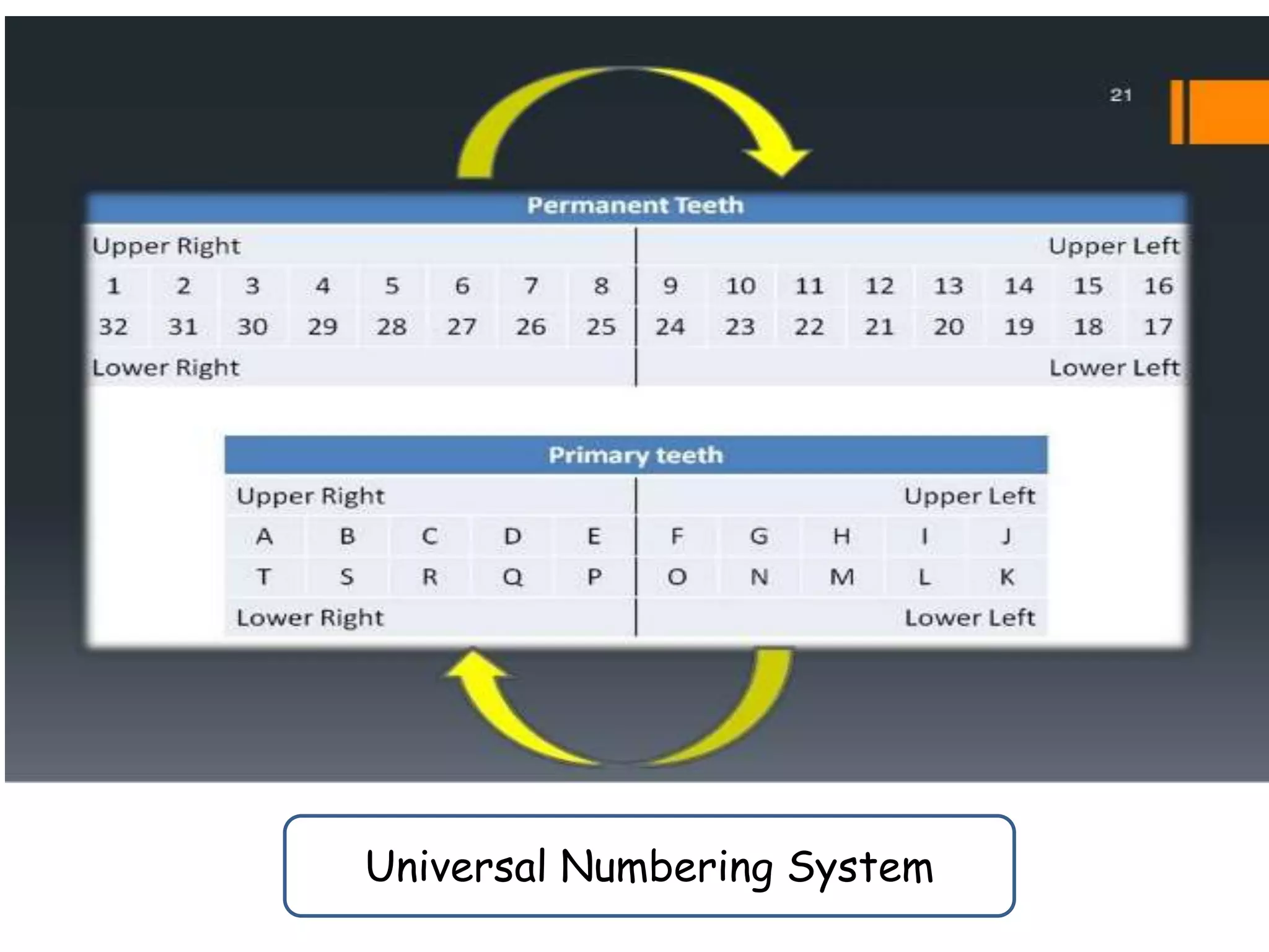 Dental tooth nomenclature | PPTX