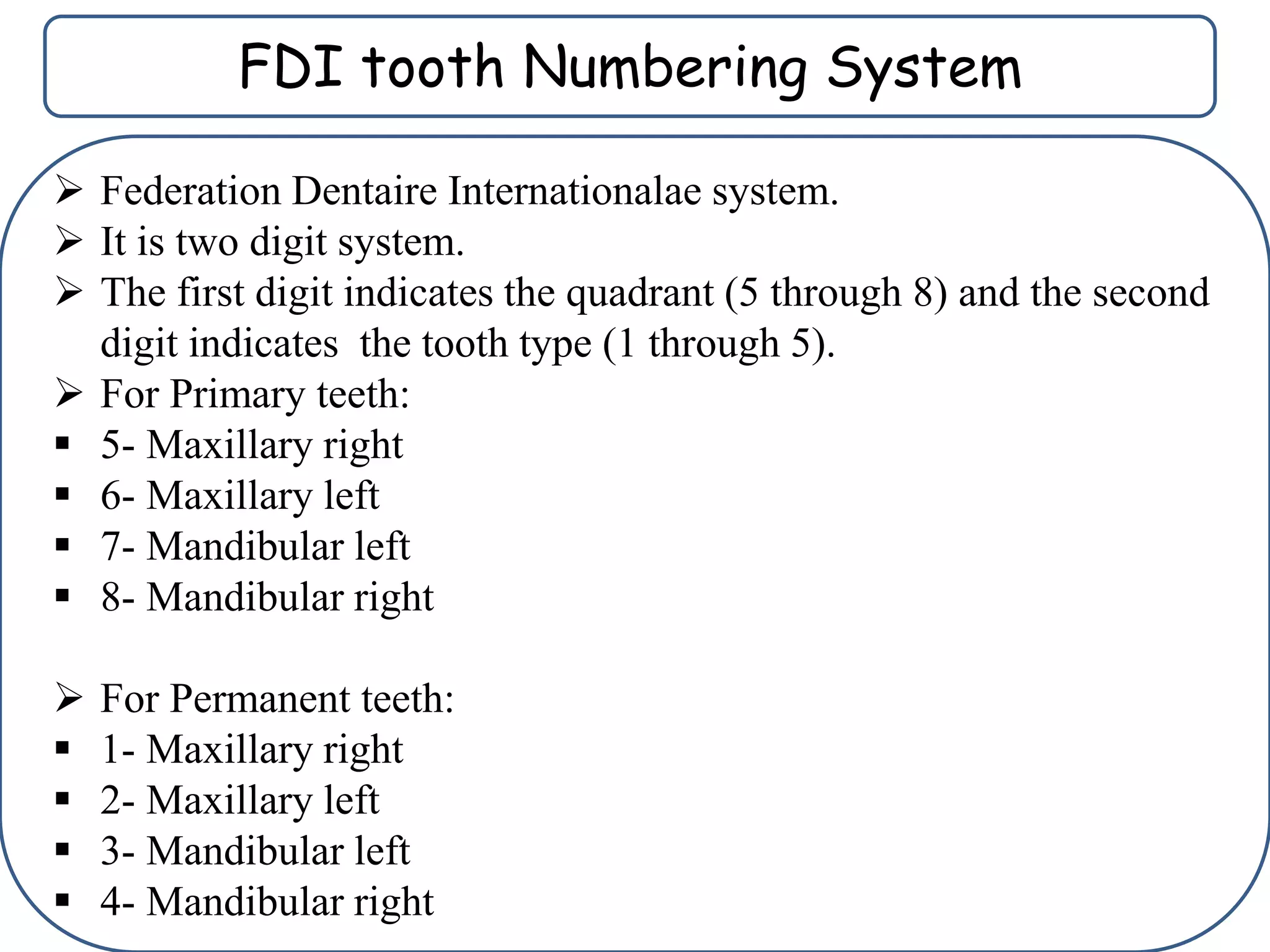 Dental tooth nomenclature | PPTX