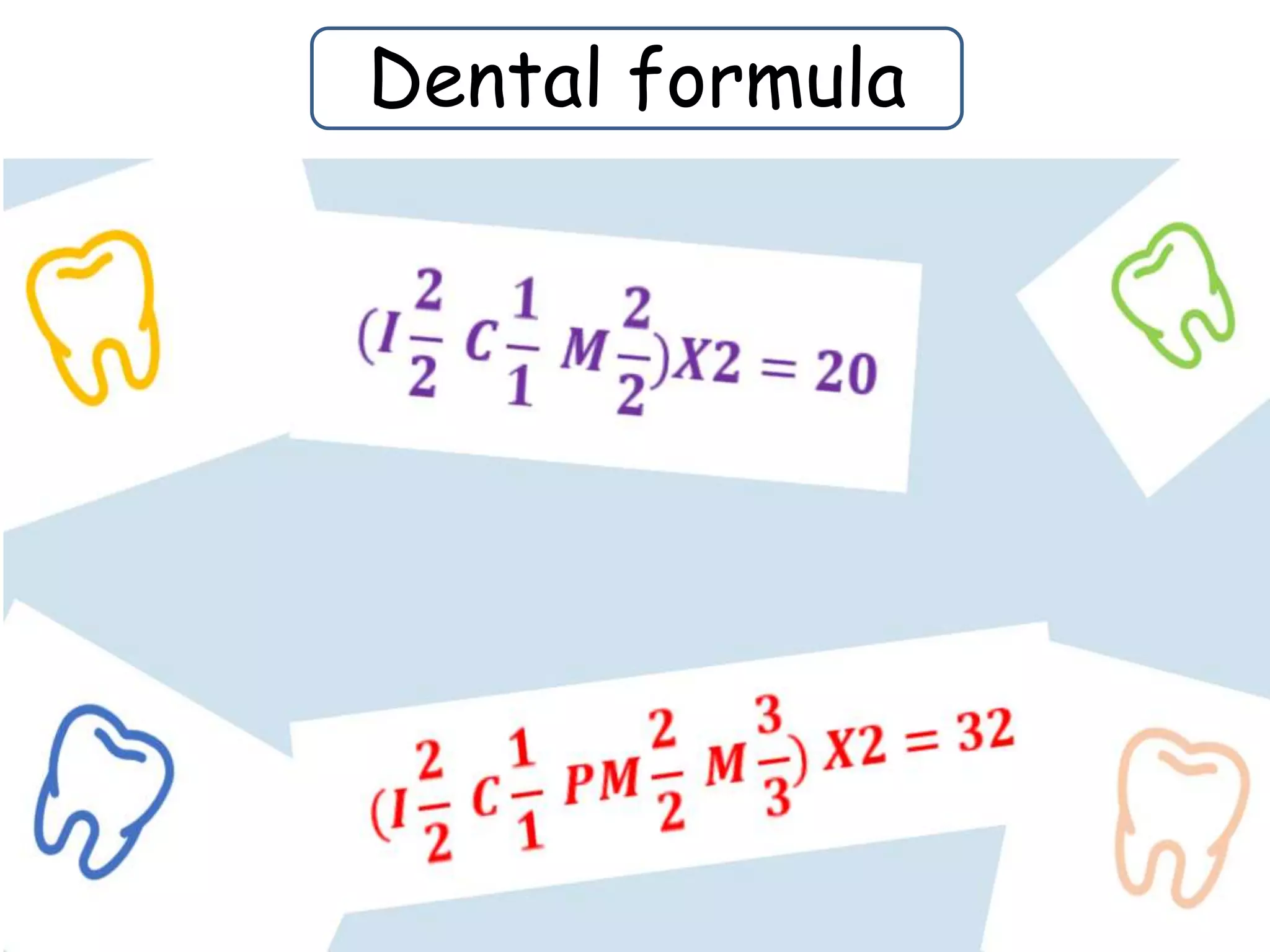 Dental tooth nomenclature | PPTX