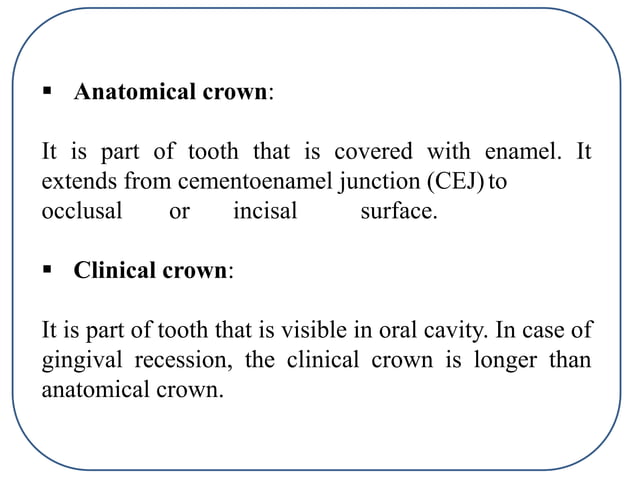 Dental tooth nomenclature | PPTX | Dental Health | Diseases and Conditions