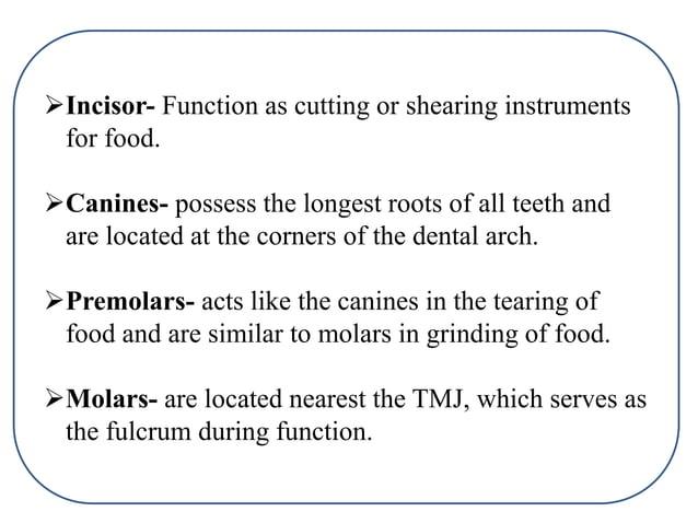 Dental tooth nomenclature | PPTX | Dental Health | Diseases and Conditions