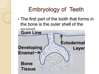 Dental trauma | PPTX