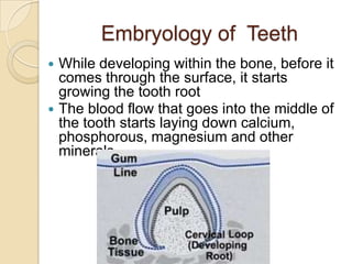 Dental trauma | PPTX