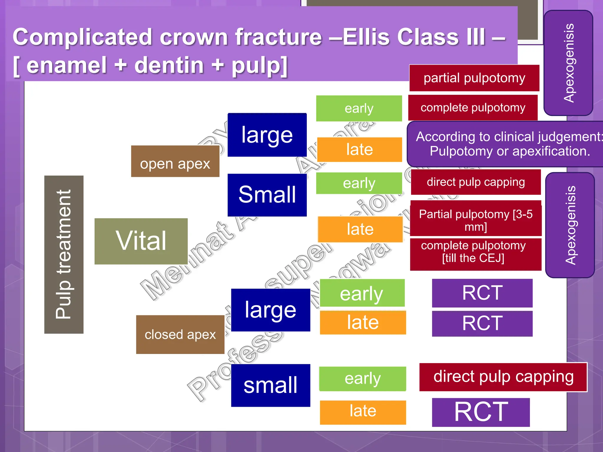 management of traumatic dental injuries in children.pptx