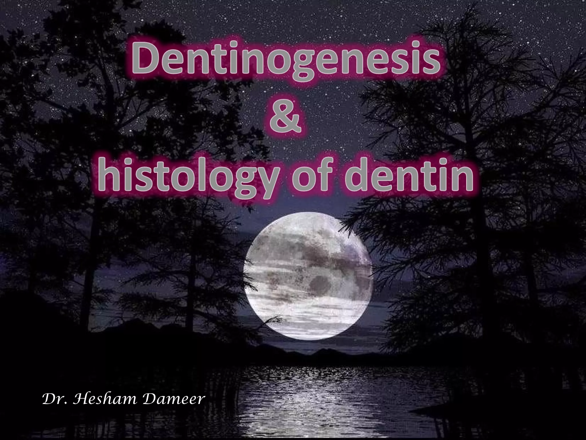 Dentenogenesis and histology of dentin | PPT
