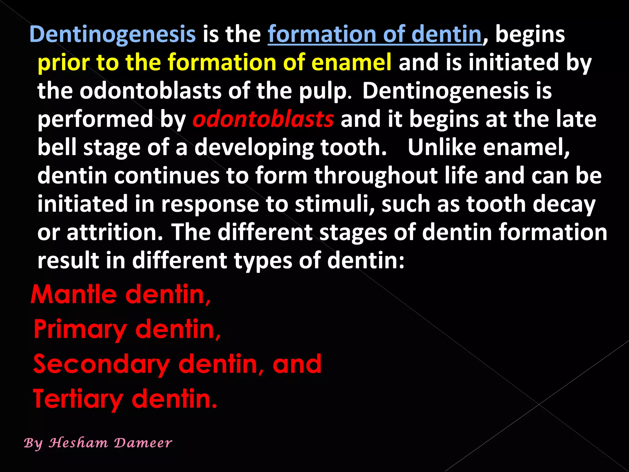 Dentenogenesis and histology of dentin | PPT