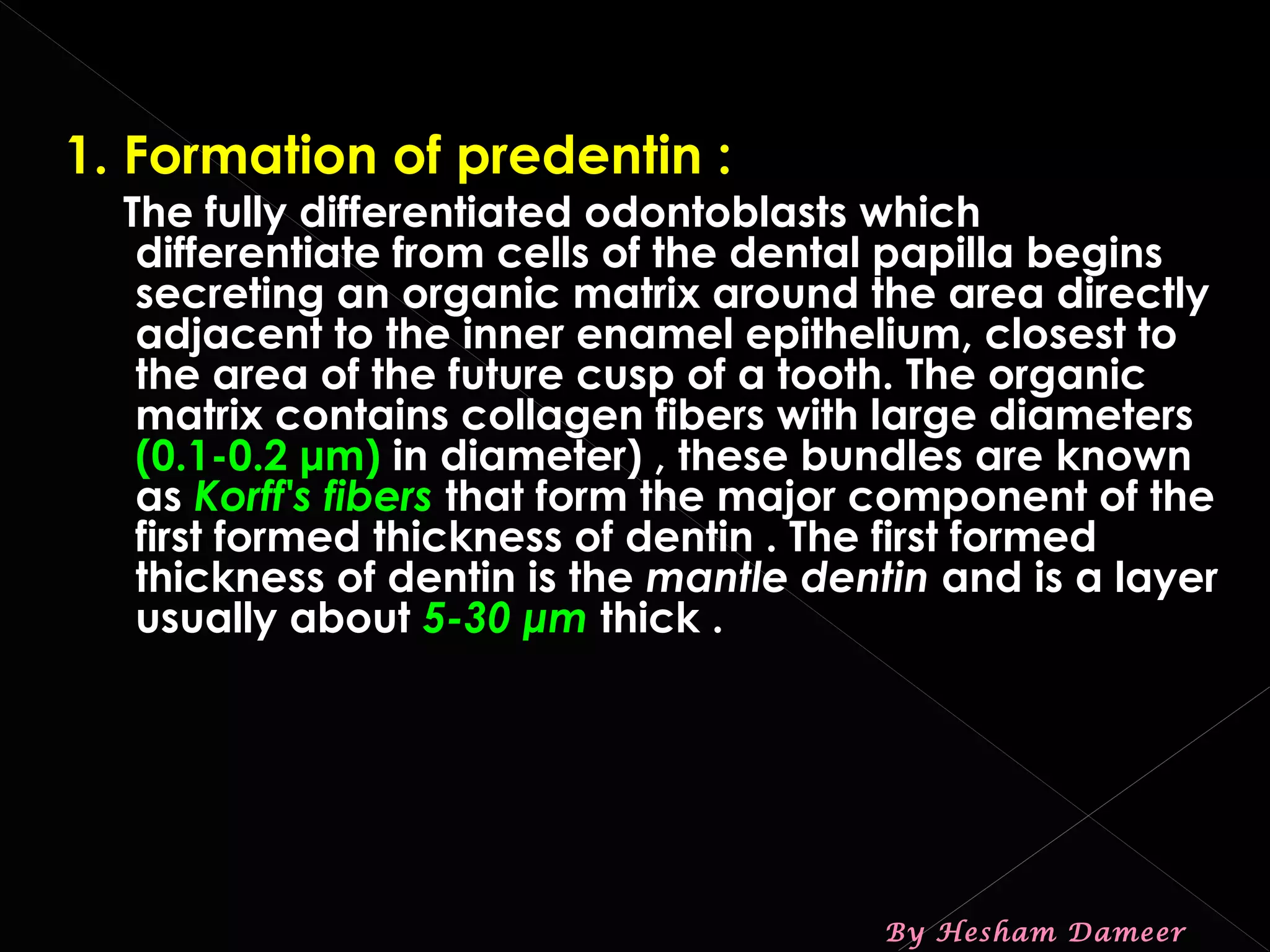 Dentenogenesis and histology of dentin | PPT