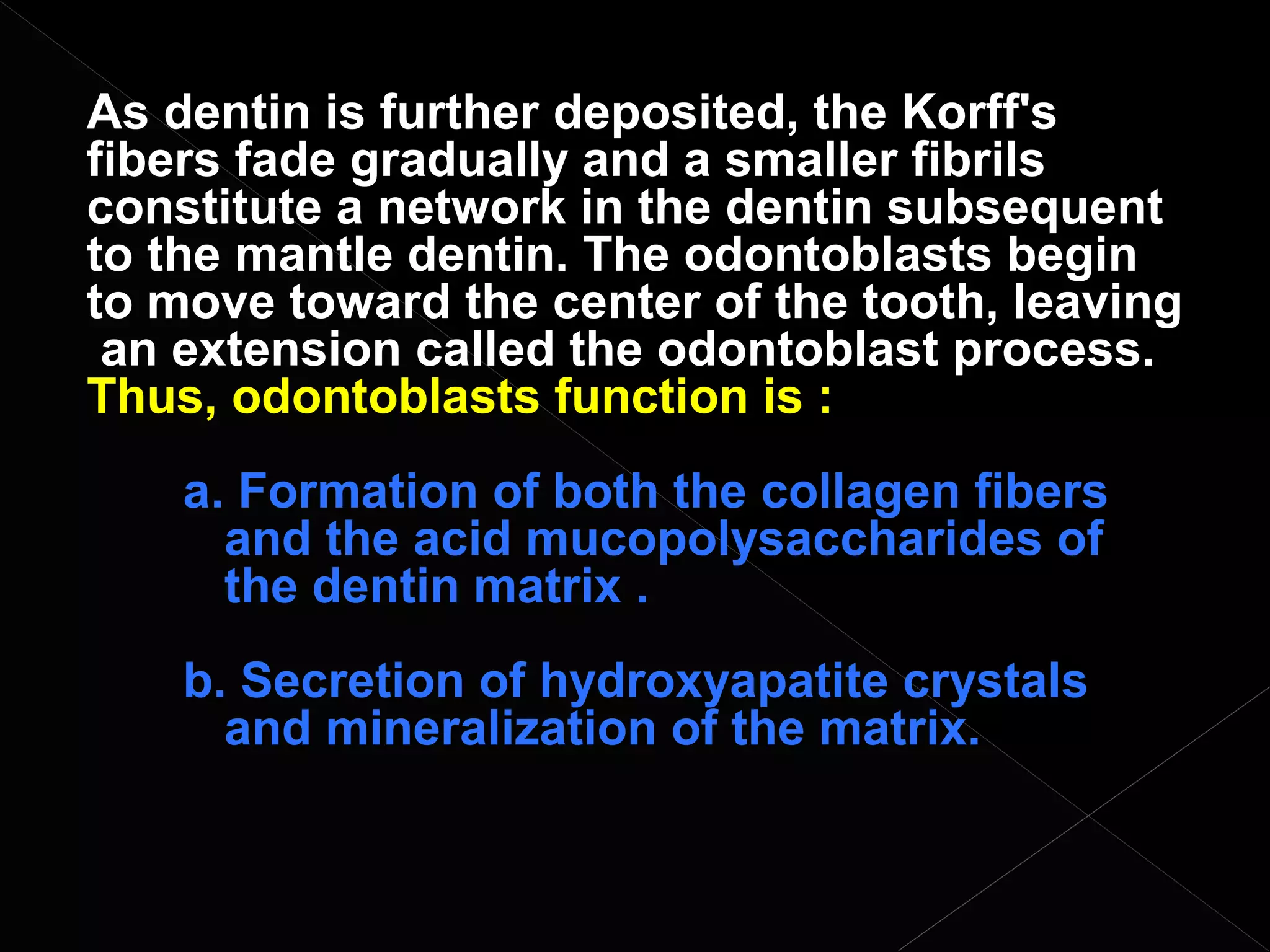 Dentenogenesis and histology of dentin | PPT