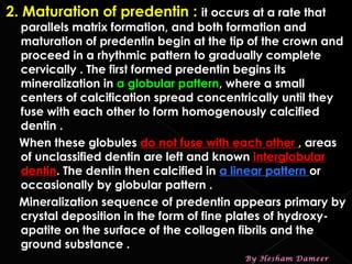 Dentenogenesis and histology of dentin | PPT