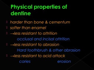 Dentenogenesis and histology of dentin | PPT