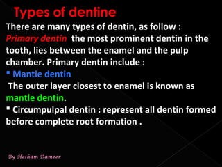 Dentenogenesis and histology of dentin | PPT