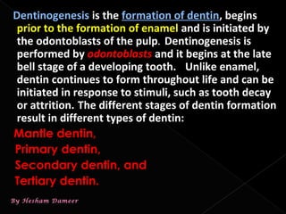 Dentenogenesis and histology of dentin | PPT