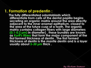Dentenogenesis and histology of dentin | PPT