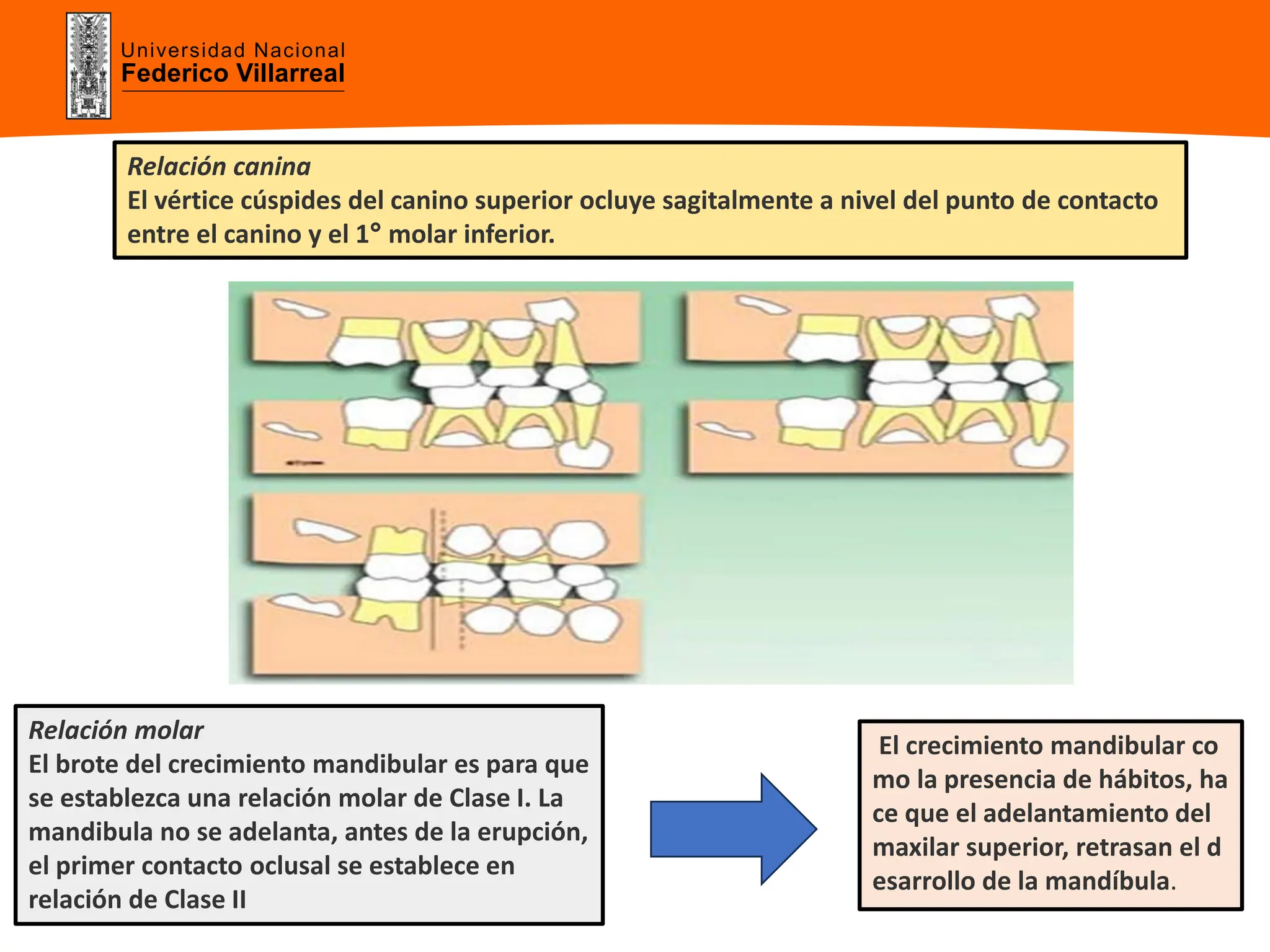 DENTICION DECIDUA ORTODONCIA y ORTOPEDIA | PPT