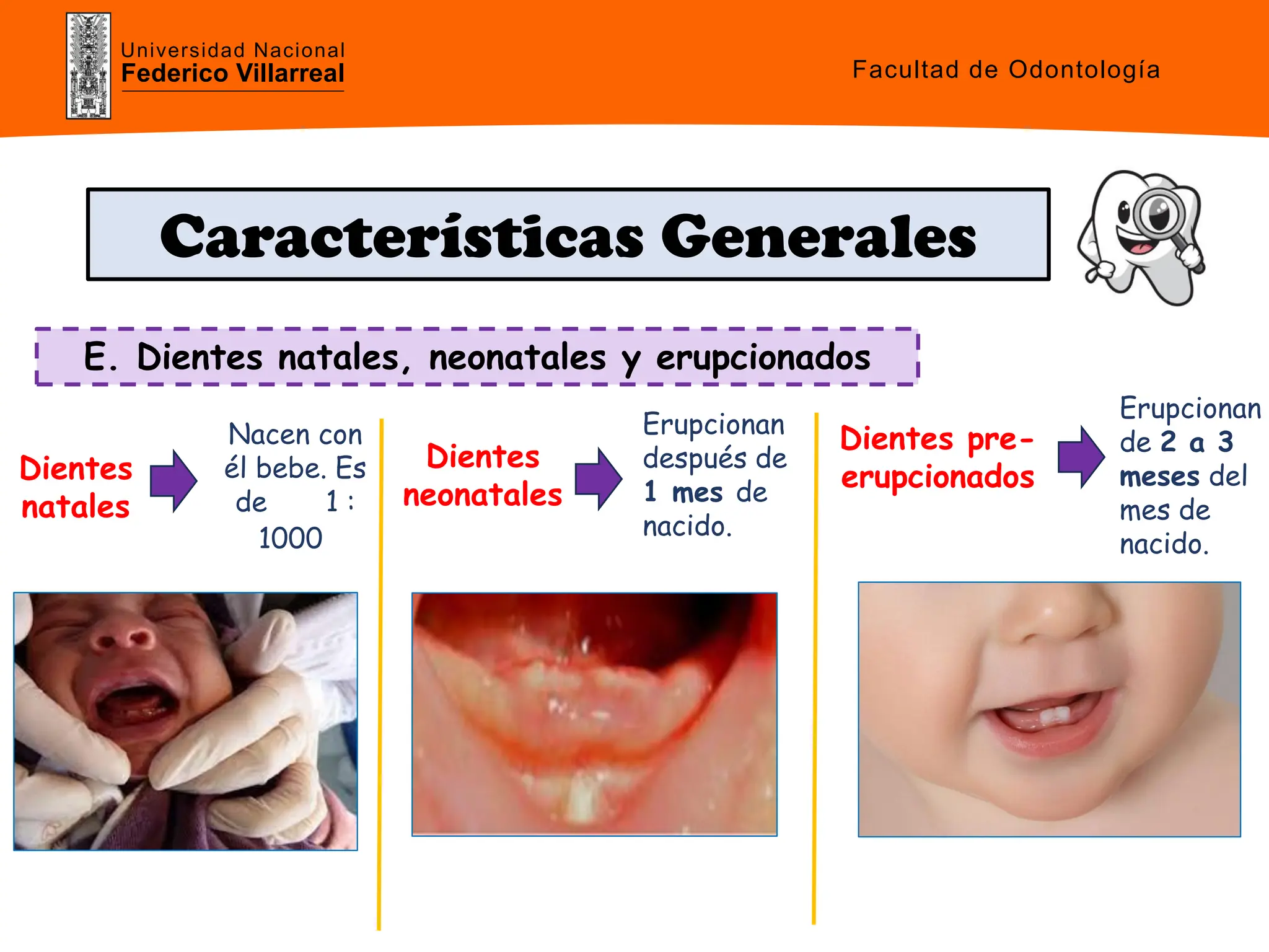 DENTICION DECIDUA ORTODONCIA y ORTOPEDIA | PPT