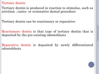 Dentin | PPT