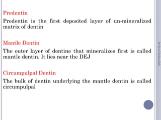 Dentin | PPT