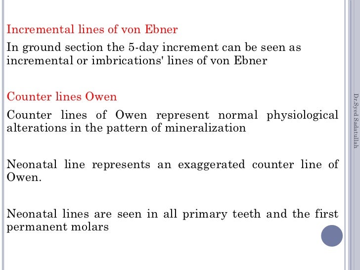 Incremental Lines Of Von Ebner Oral Histology Digital Lab: Dentin: