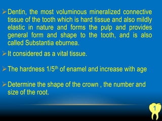 Dentin.ppt2 | Dental Health | Diseases and Conditions