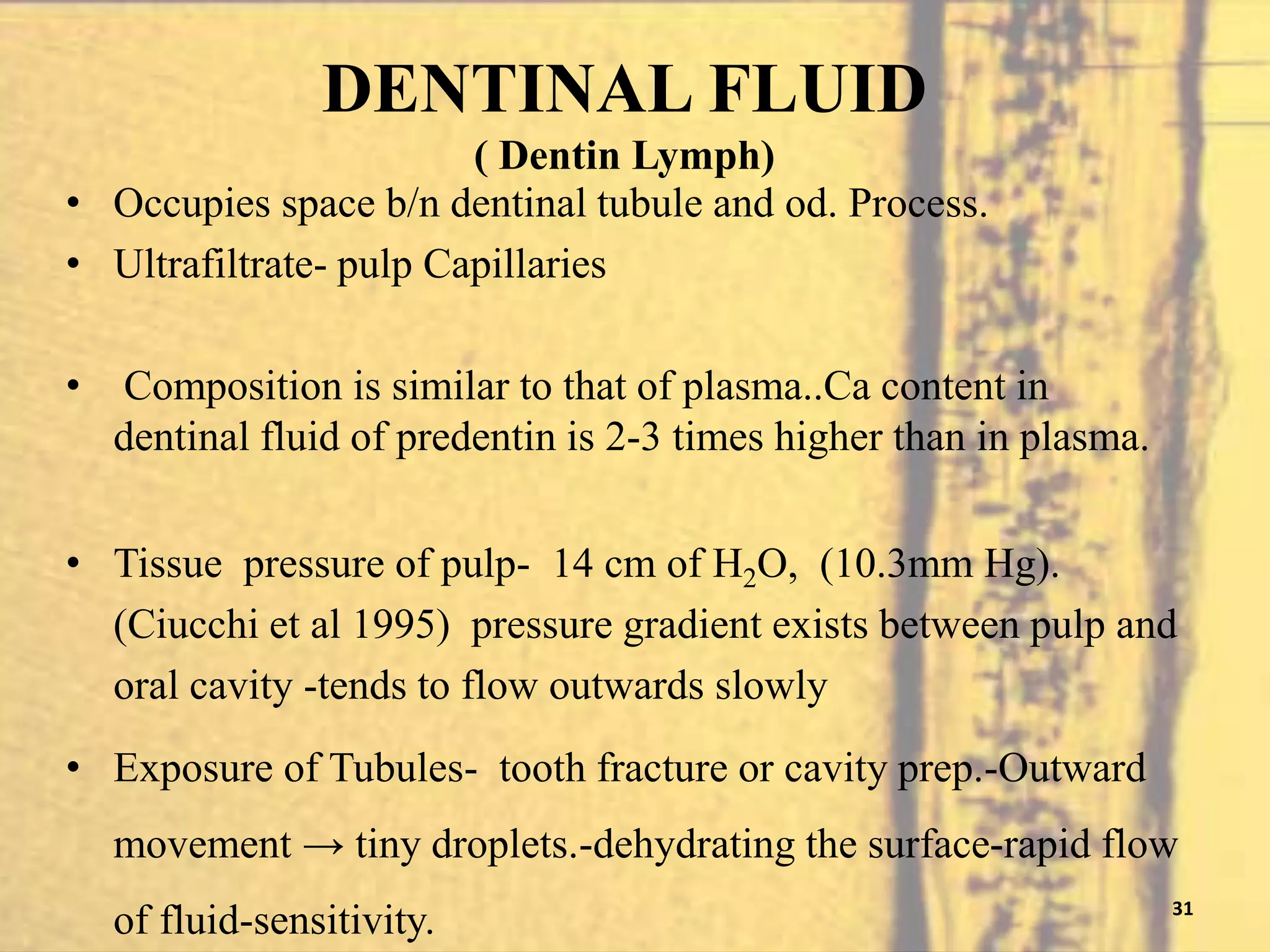 Dentin | PPTX