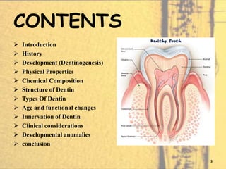 Dentin | PPTX