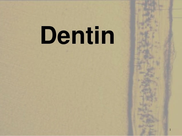Dentin