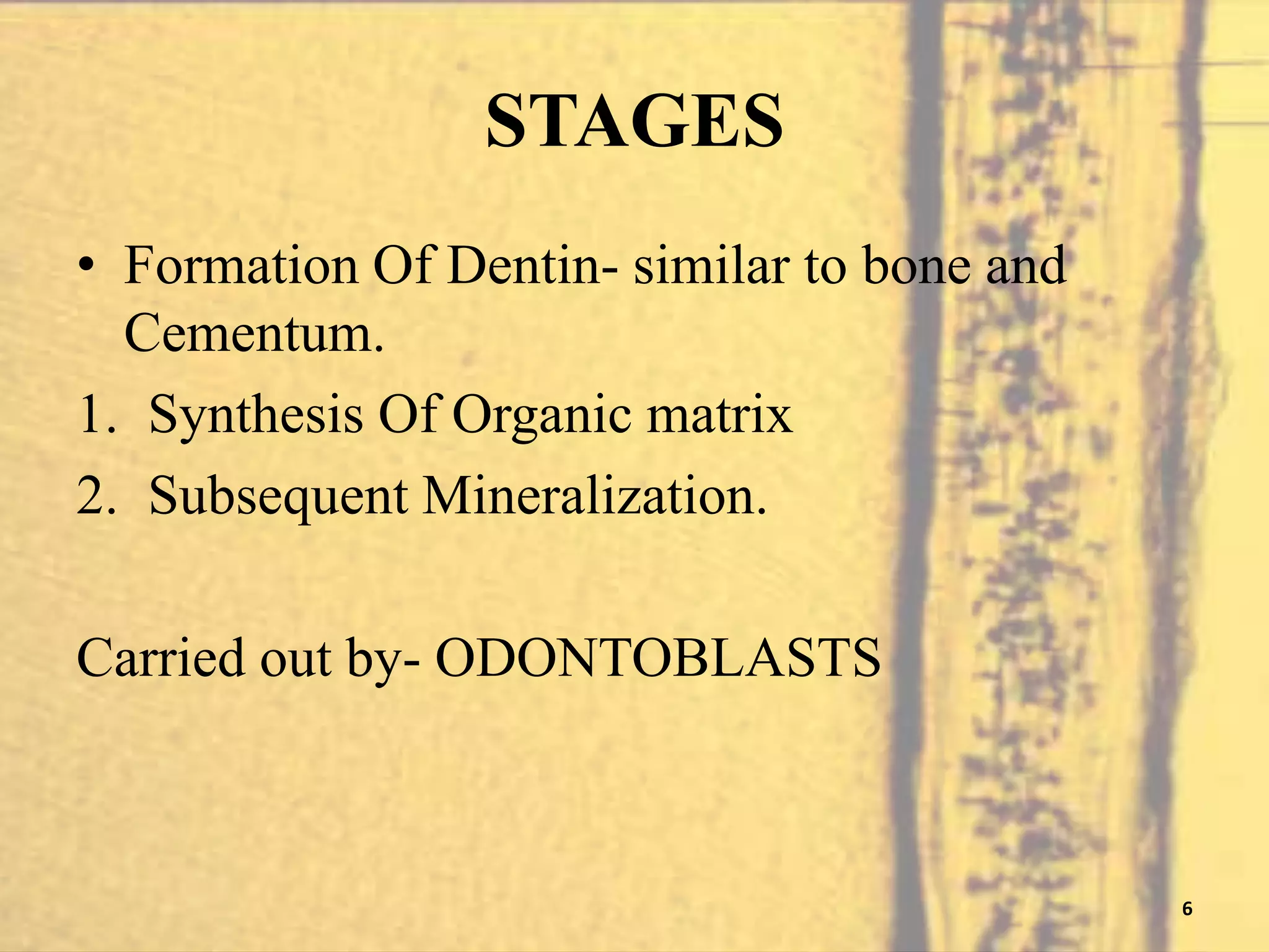 Dentin | PPTX