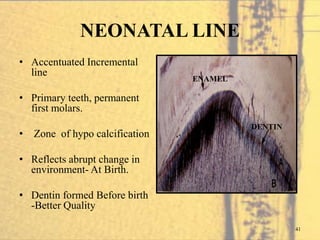 Neonatal Line