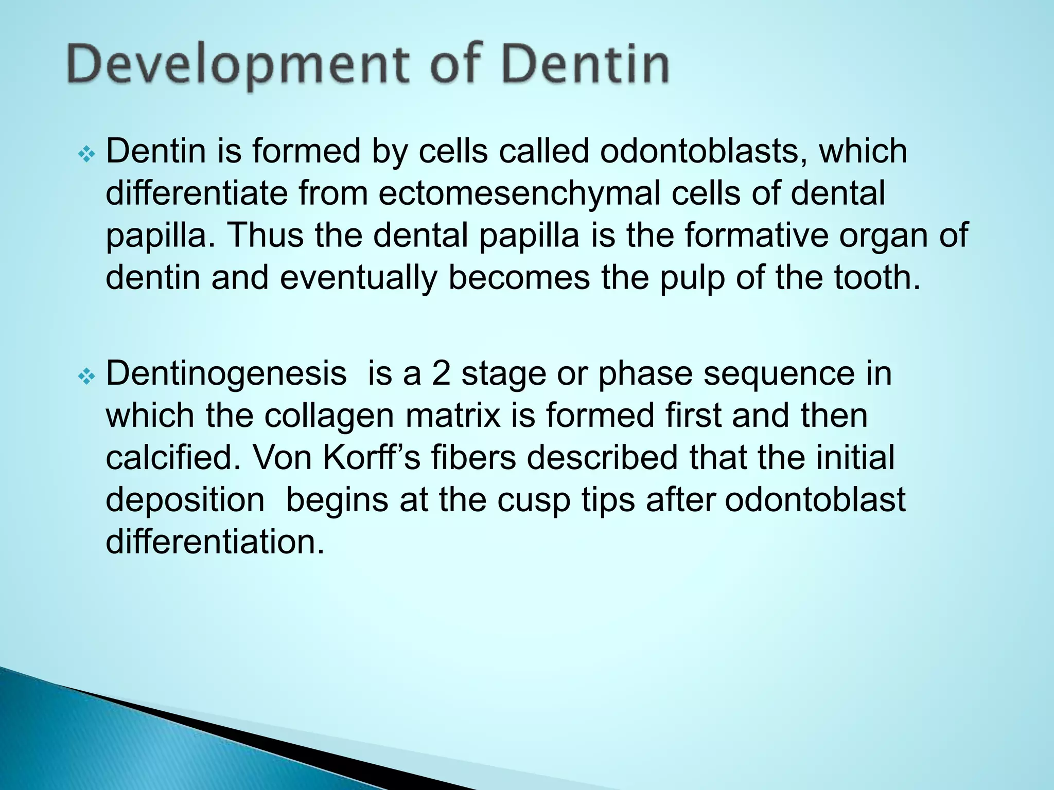 Dentin -- Structural aspect | PPT