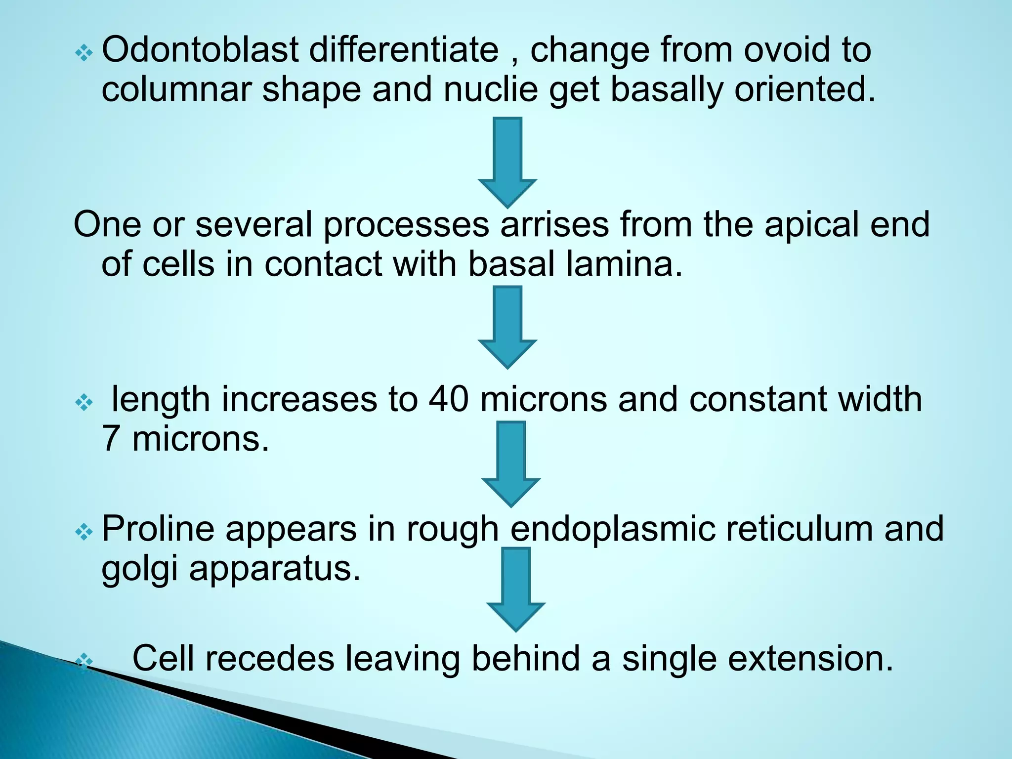 Dentin -- Structural aspect | PPTX