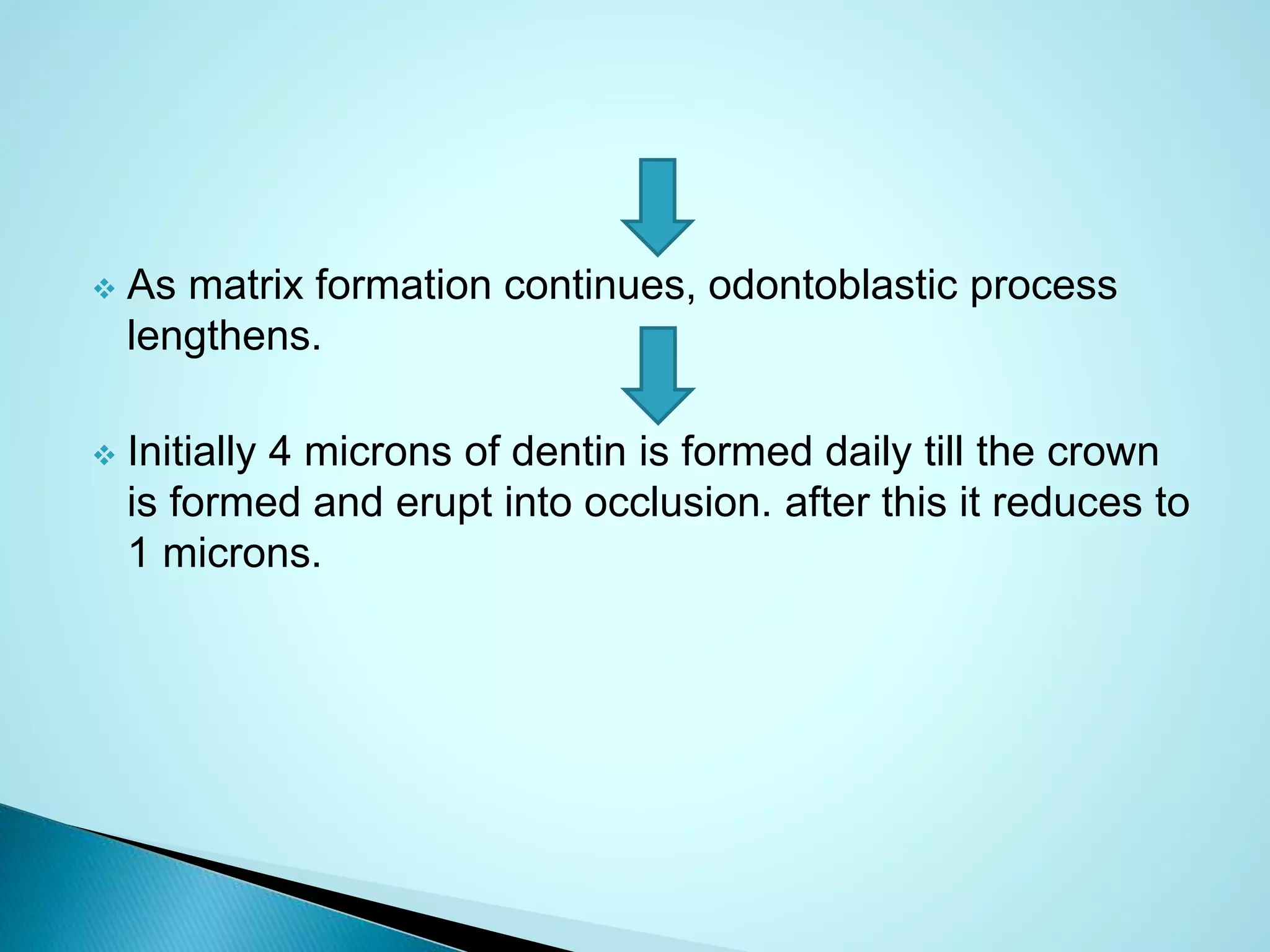 Dentin -- Structural aspect | PPTX