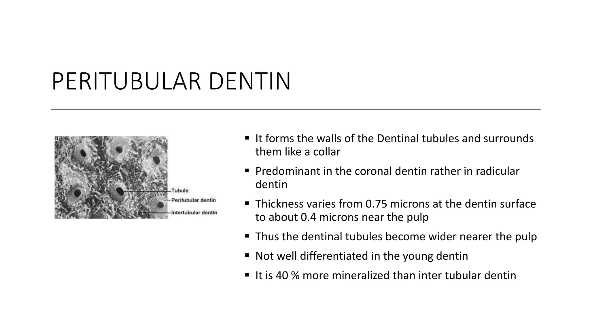 Dentin | PPTX