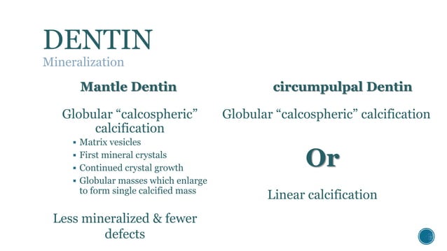 Dentin | PPT