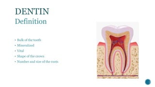 Dentin | PPT