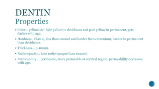 Dentin | PPT