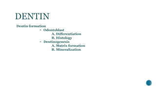 Dentin | PPT