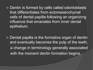 Dentin | PPTX