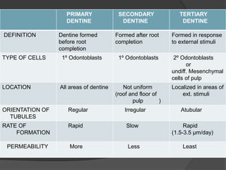 Dentin | PPTX