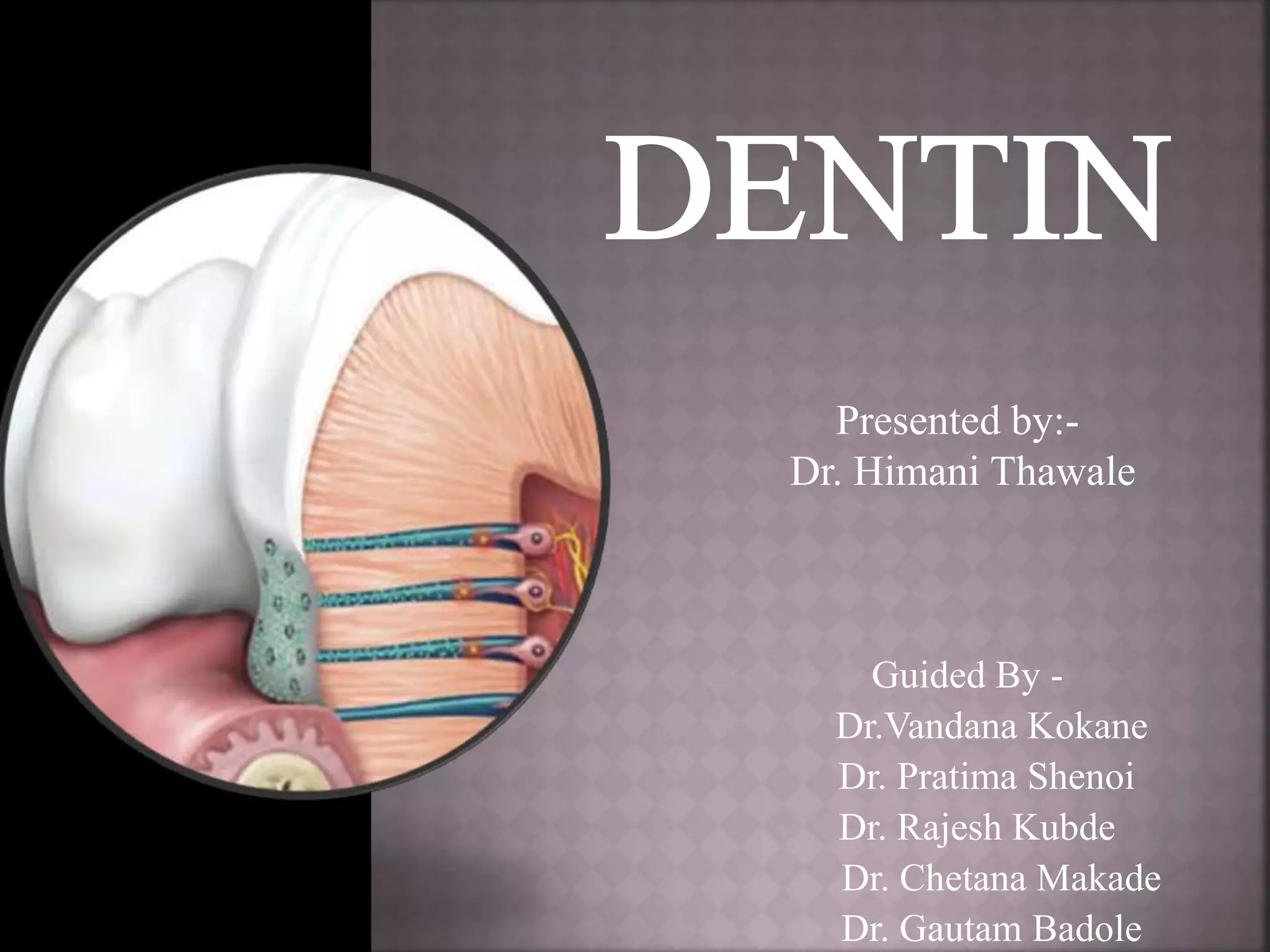 Dentin | PPTX | Dental Health | Diseases and Conditions