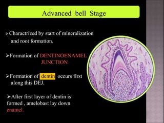 Dentin | PPTX