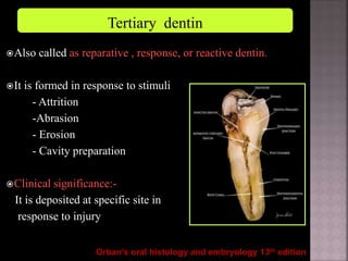 Dentin | PPTX