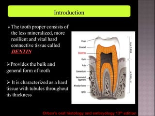 Dentin | PPTX