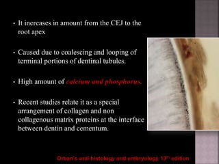Dentin | PPTX