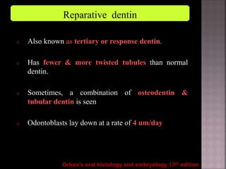Dentin | PPTX