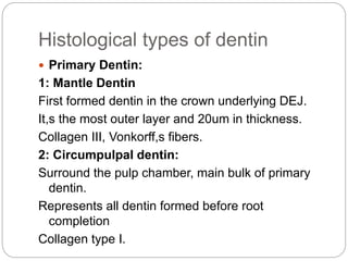 Dentin | PPTX