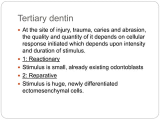 Dentin | PPTX