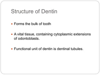 Dentin | PPTX