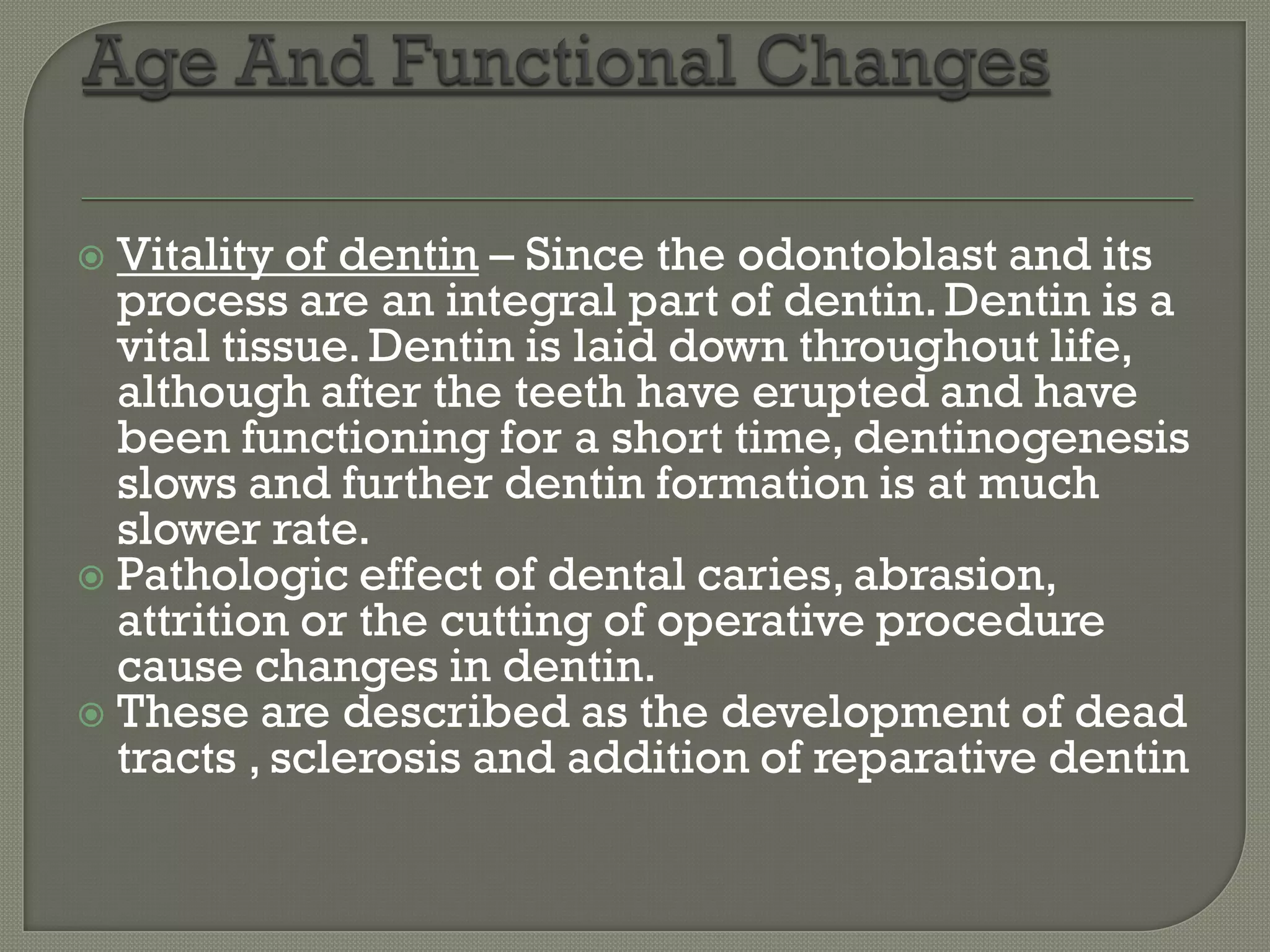 Dentin | PDF